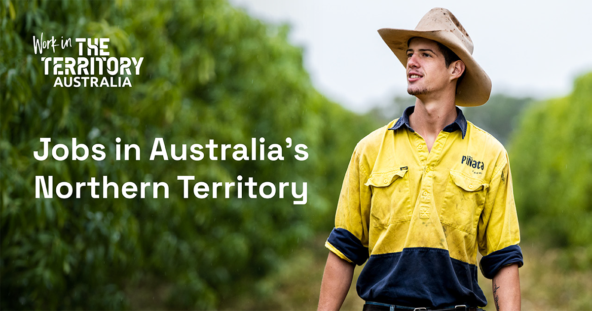 Carpenter Builder, Leanyer - Territory WorkerConnect